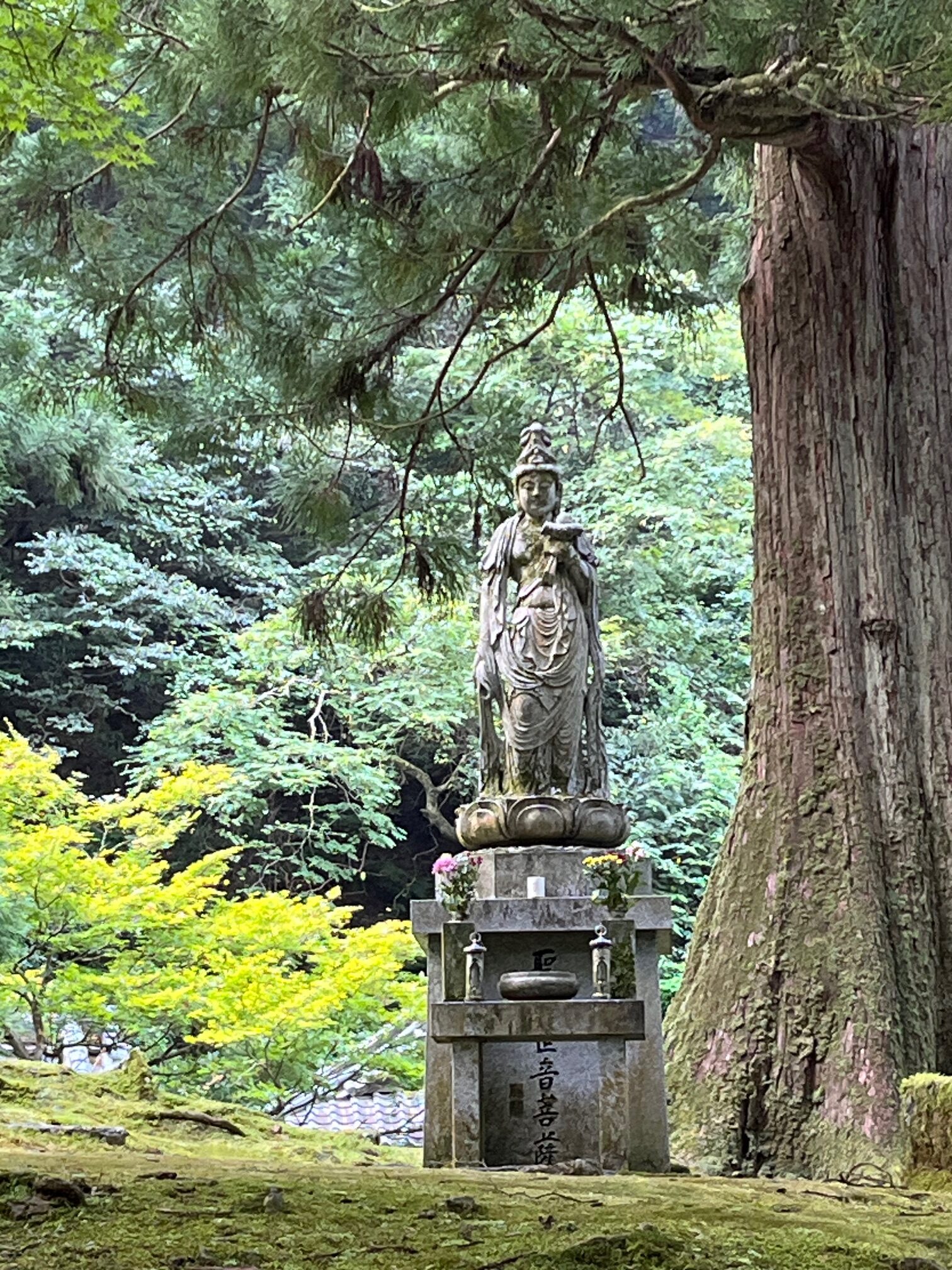 HINDERNISSE | Shin Poh Ji 信法寺 Tempel des wahren Dharmas